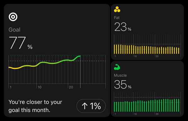 Body Composition: Definition, Analysis Methods & Key Health Parameters